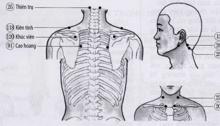 Tổng Hợp Thông Tin Chi Tiết, Quan Trọng Về Huyệt Cao Hoang